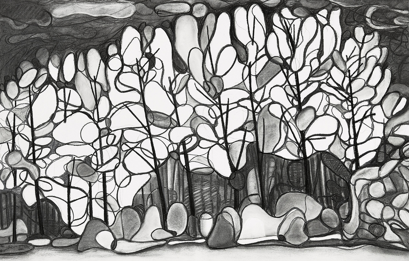 Fotograaf en beeldend kunstenaar met een passie voor natuur en tekenen Dominique Van Huffel ...