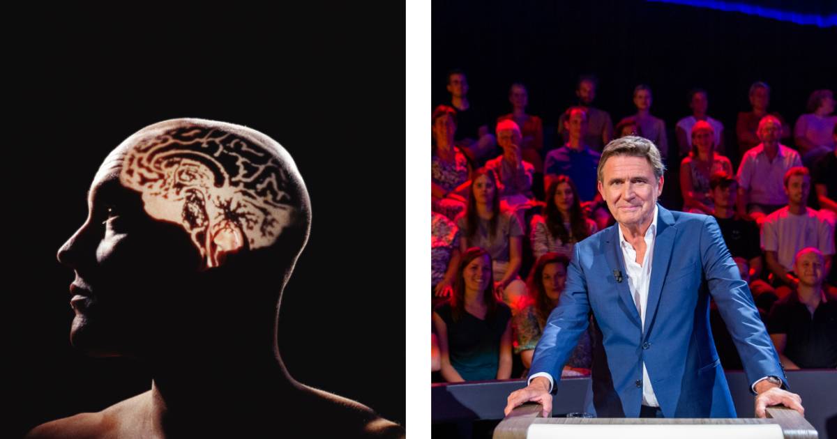 ¿Qué es lo que realmente te convierte en "una persona inteligente ...