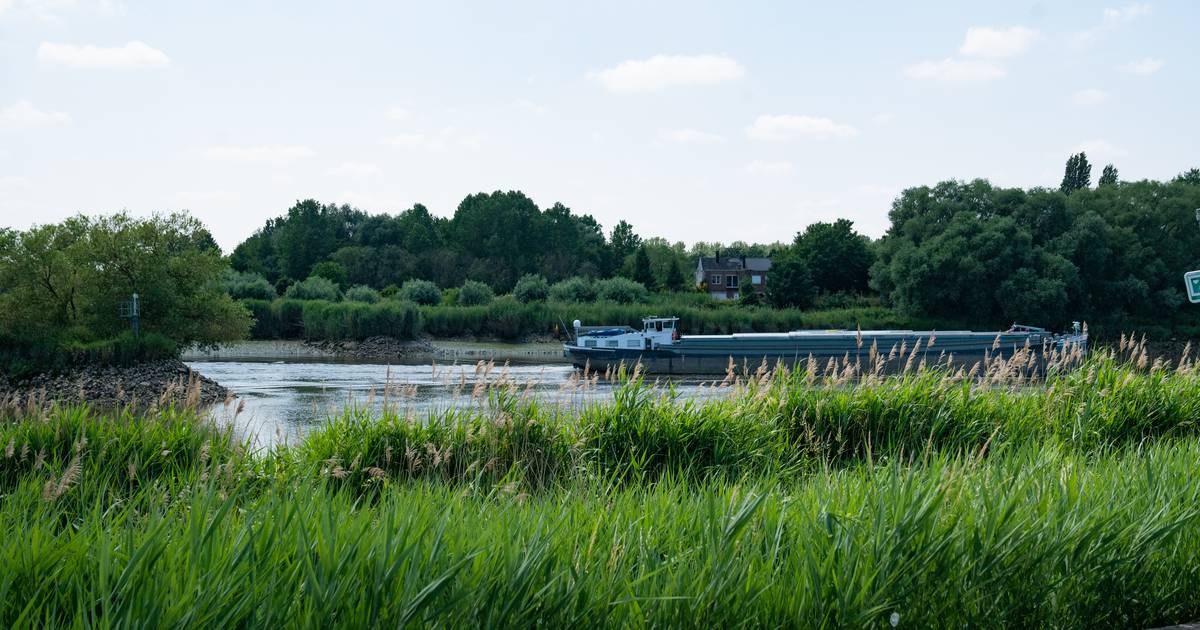 Fietsen in de herfst: ontdek de streek rond Rumst, waar Nete en Dijle ...