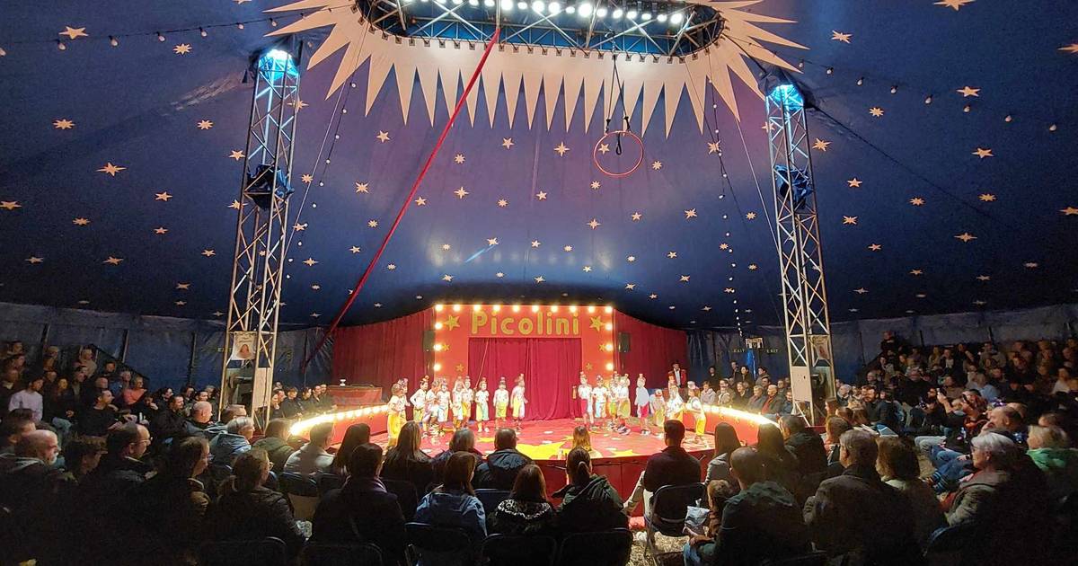 Leerlingen Sint-Jozefsschool schitteren in piste Circus Picolini ...