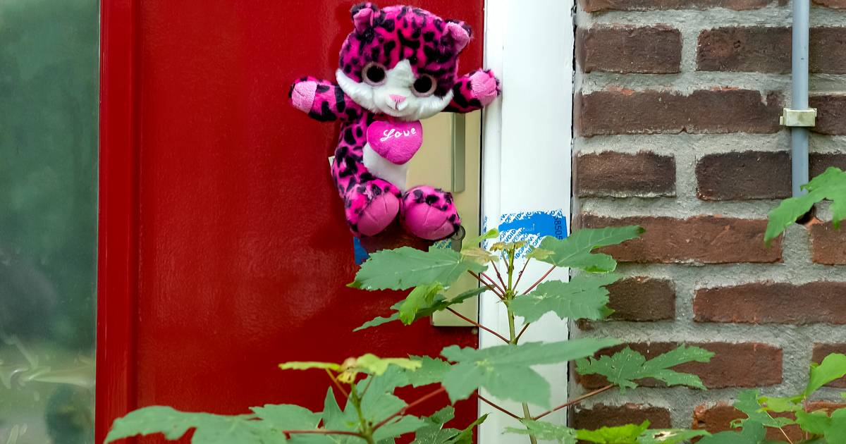 Pleegmeisje Vlaardingen naar revalidatiecentrum, maar ‘onzekerheid over herstel blijft groot ...