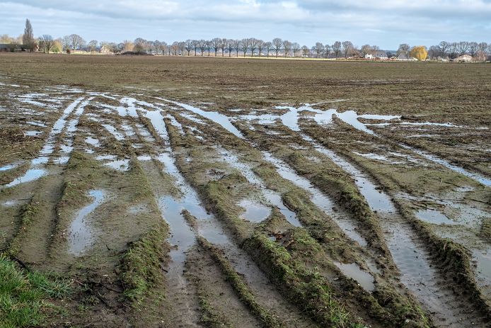 Grondwater na natte periode op veel plaatsen op peil: ‘Maar niet te ...