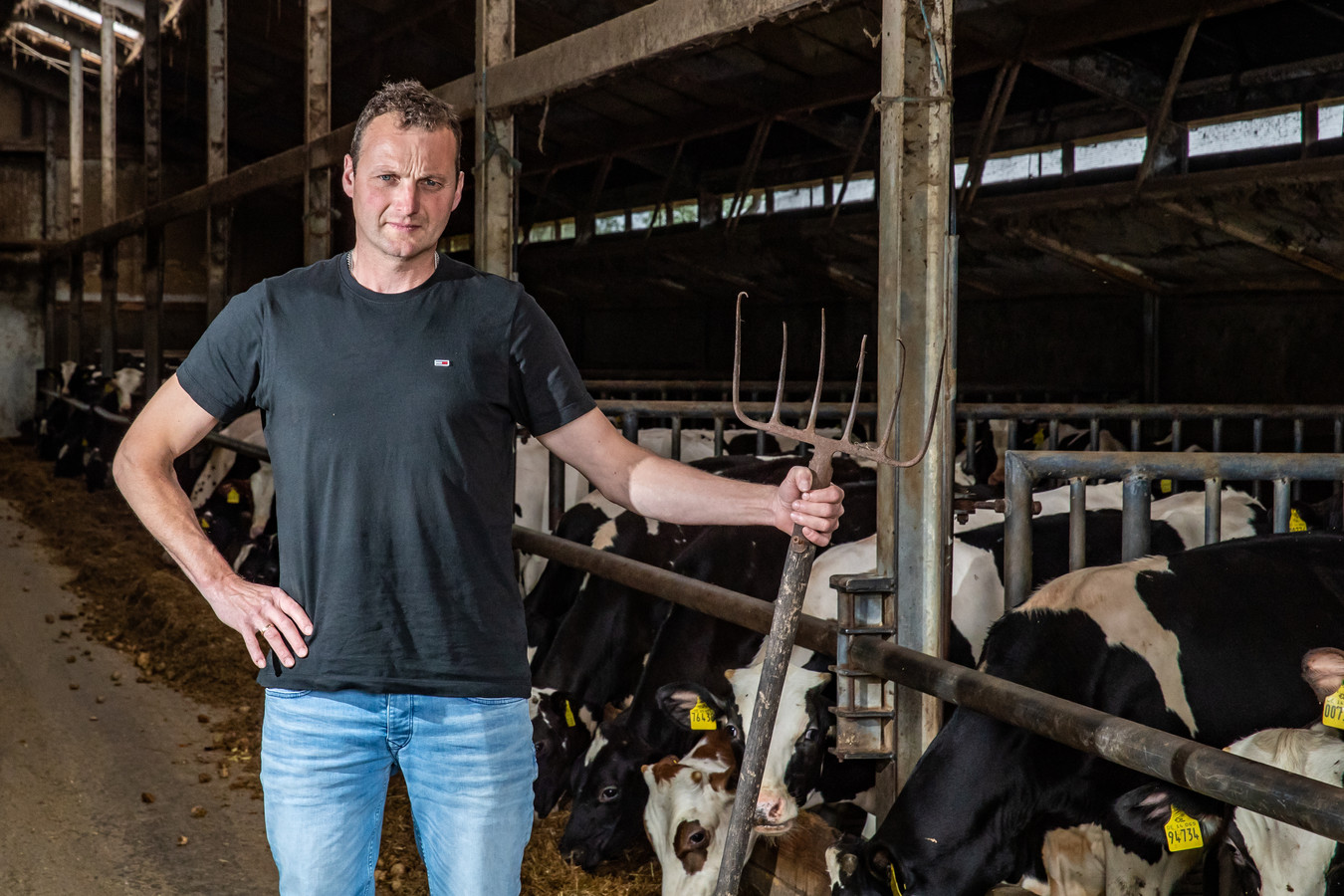 Boeren geschokt door plotselinge omslag mestregels: ‘Laten ons in de ...