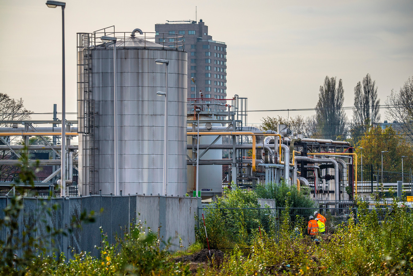 Waarom is in Delft vooral in de zomer de geur van gist te ruiken ...