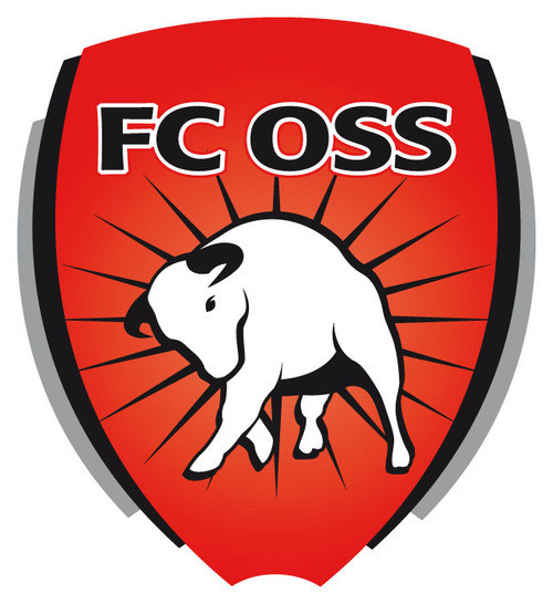 Fans krijgen mogelijk na jaren hun zin: FC Oss wil weer TOP Oss gaan heten | Foto | AD.nl