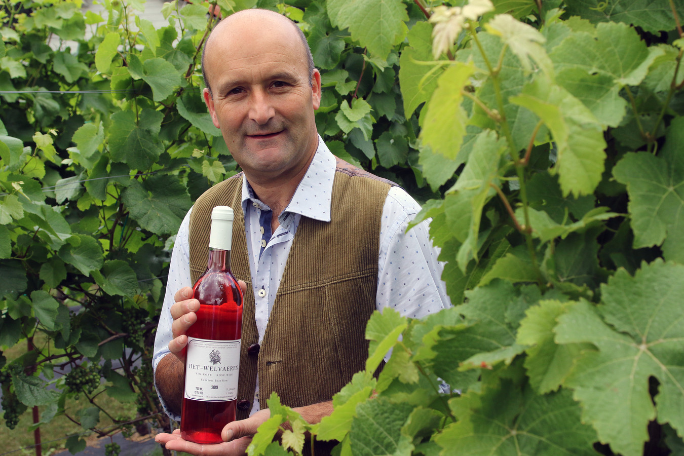 Ook in Vlaanderen worden topwijnen verbouwd: “Met dank aan het klimaat ...