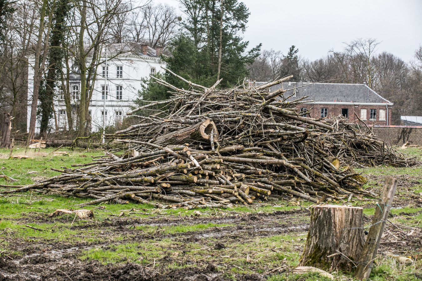 “Dit getuigt van een ongelofelijk cynisme”: krotbazenfamilie Appeltans ...