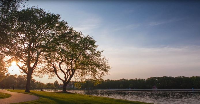 Ondanks stikstof en een hagedis kan het vakantiepark bij Het Rutbeek in ...