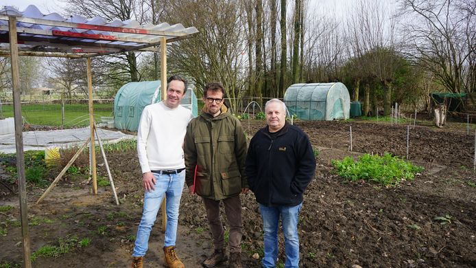 Geen overschotten meer van verse groenten voor voedselbank: “Dan gaan ...