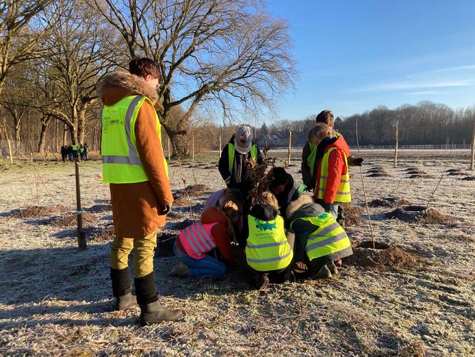 IN BEELD. Essen weer een stukje groener dankzij nieuw bos in Horendonk ...