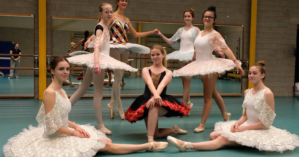 Dansschool Bolero brengt klassieke voorstelling Don Quijote in ‘t ...