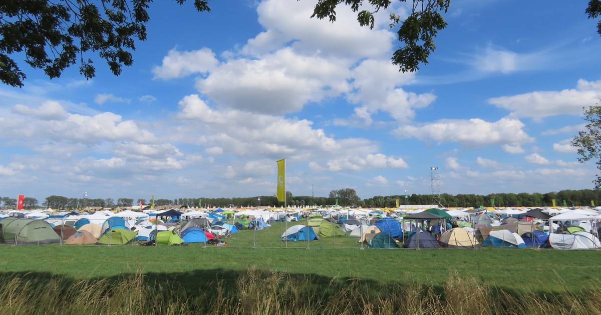 DTRH en Dag van Lauwe | Down The Rabbit Hole 2024 | gelderlander.nl