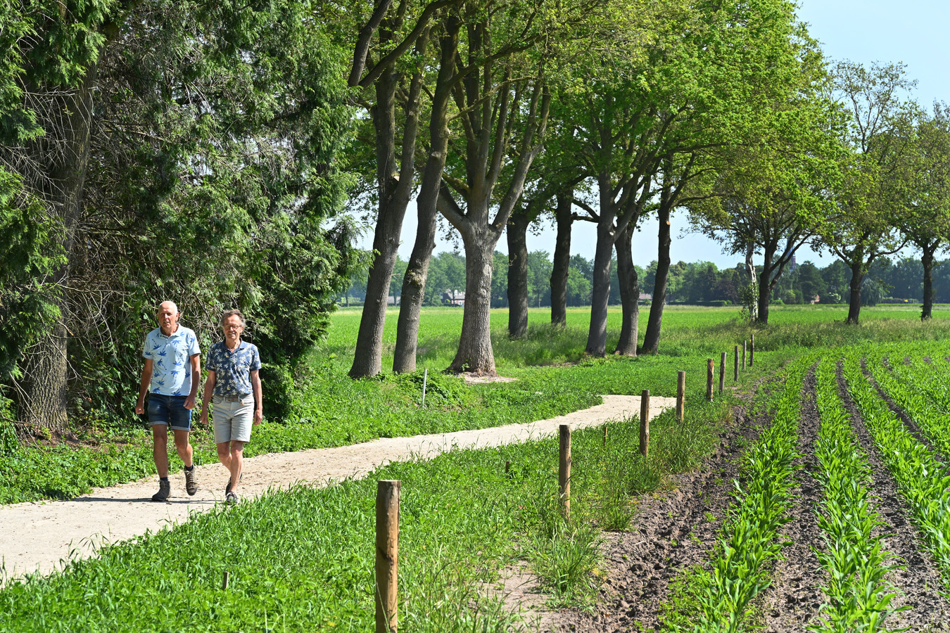 Via het Kattepedje naar het Kuulepad: dankzij Tijs en Kees is Wanroijs ...