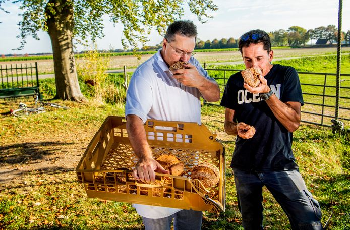 Rhoonse bakker eerste met oertarwebrood | Rotterdam | AD.nl