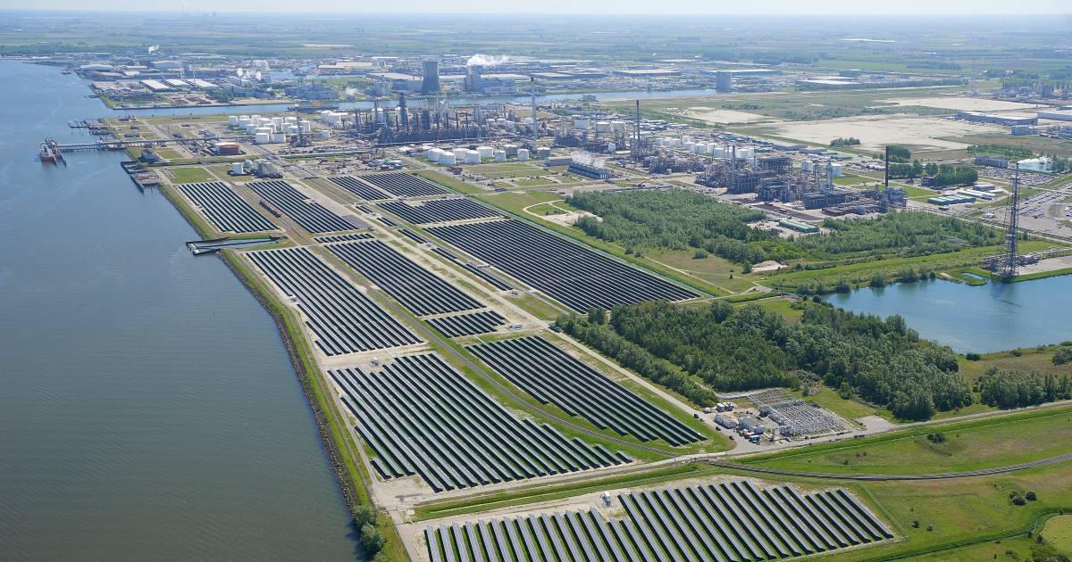 Wie is de grootste? Wie zit er het langst? De top 5 van haven- en ...