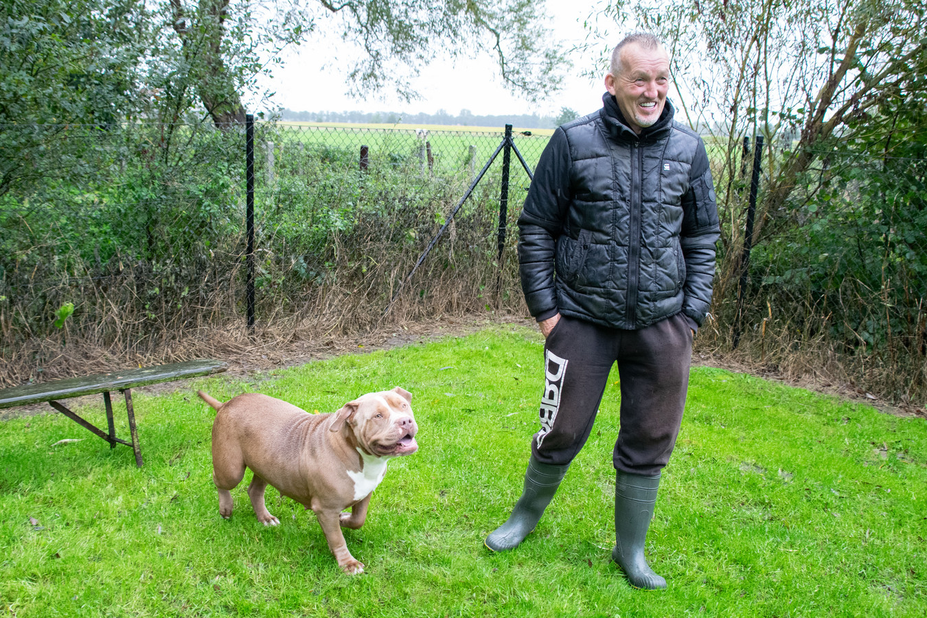Henk en Engelin uit Oost-Souburg hebben 11 American bully’s: ‘Van een ...