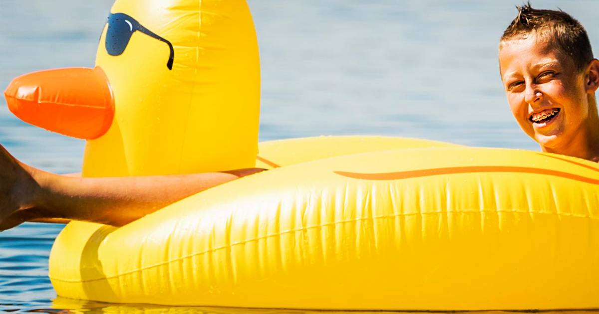 Tropenrooster voor alle basisscholieren Bunschoten | Binnenland | AD.nl