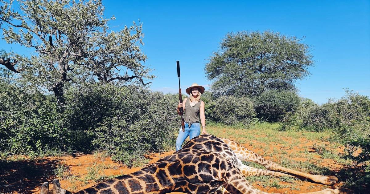 Une chasseuse s'affiche avec son cadeau de Saint-Valentin: un coeur de girafe | Monde | 7sur7.be
