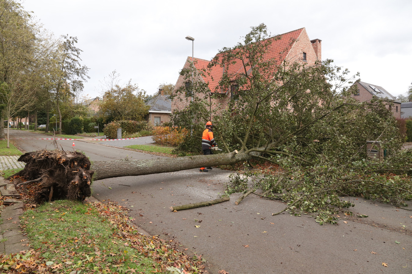 Hulpverleningszone Waasland krijgt 237 meldingen voor stormschade ...