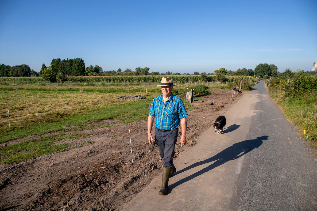Gevaarlijke plantenziekte woekert over Wageningse Eng en drijft ...