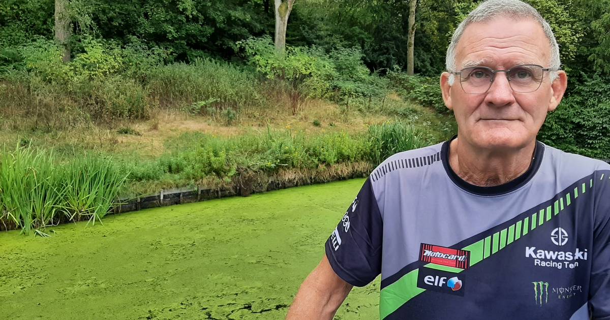 Na jaren klagen wordt de verwaarloosde berm bij Kees eindelijk ...