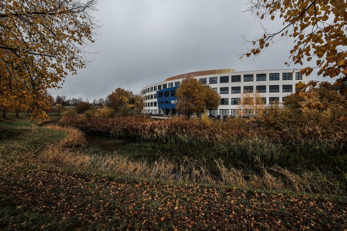 Onrust op Candea College na zware mishandeling | Duiven | gelderlander.nl