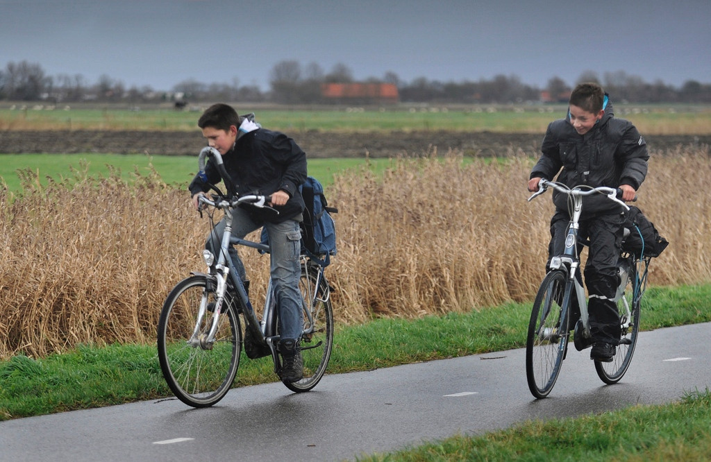 Wie fietst waar, wanneer en hoe ver in Zeeland? | Foto | pzc.nl