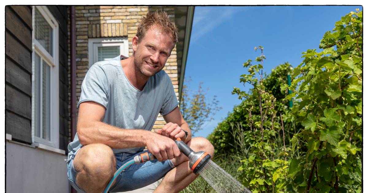 Boer Tom geeft tips: zo voorkom je dat je grasveld en je planten ...