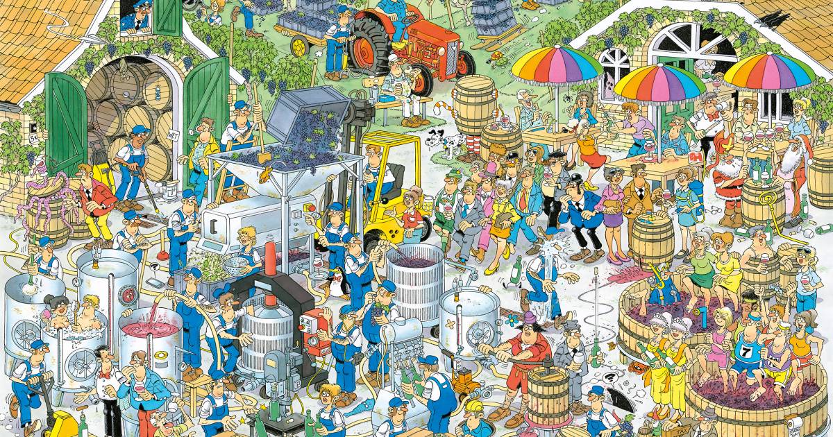 Puzzelen op de Groesbeekse wijnoogst met Rob Derks | Berg en Dal ...