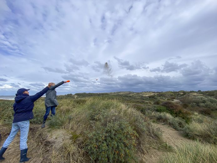 Meer crematies en dus wordt er meer as verstrooid, maar let op: ‘Bij ...