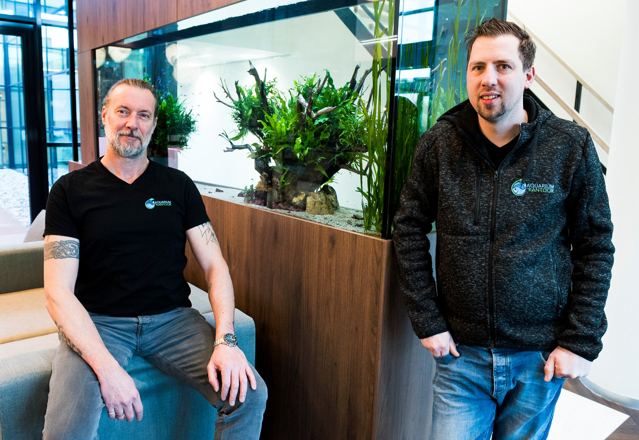 ‘Aquarium zorgt voor meer geluk op de werkvloer’ | Foto | AD.nl