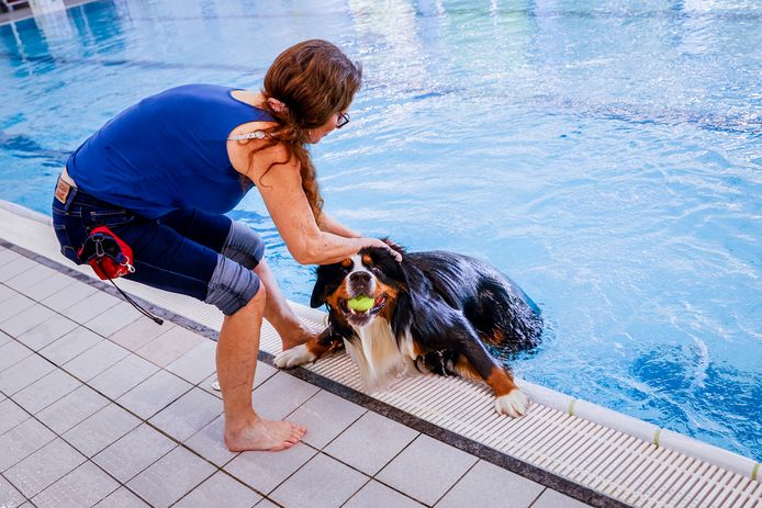 Vanaf 1 mei is het zwembad Park van Merksem gesloten: op 2 mei ...