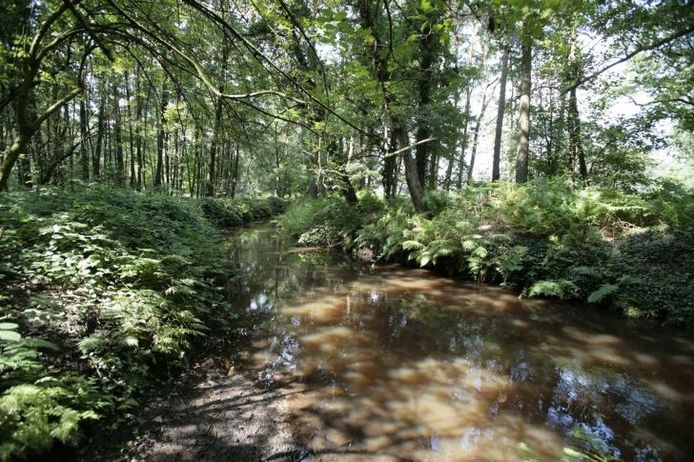 Werk aan Astense Aa van start | Overig | ed.nl