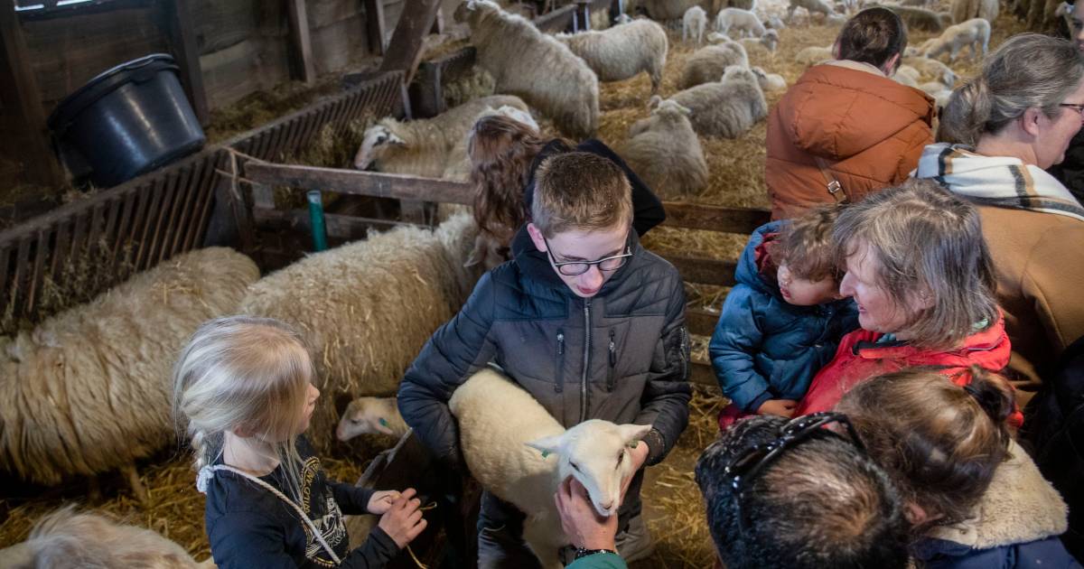 Lammetjesdag 2023 ademt een en al lente zaterdagochtend op Eder Heide ...