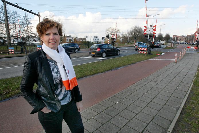 Anja Prins wordt wethouder in gemeente Losser | Losser | tubantia.nl