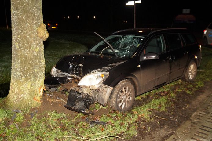 Automobilist gewond bij botsing met boom in Haarsteeg | Heusden | AD.nl