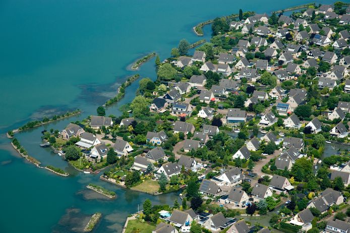 Een springende rat bij het Lingemeer | Rivierenland | gelderlander.nl