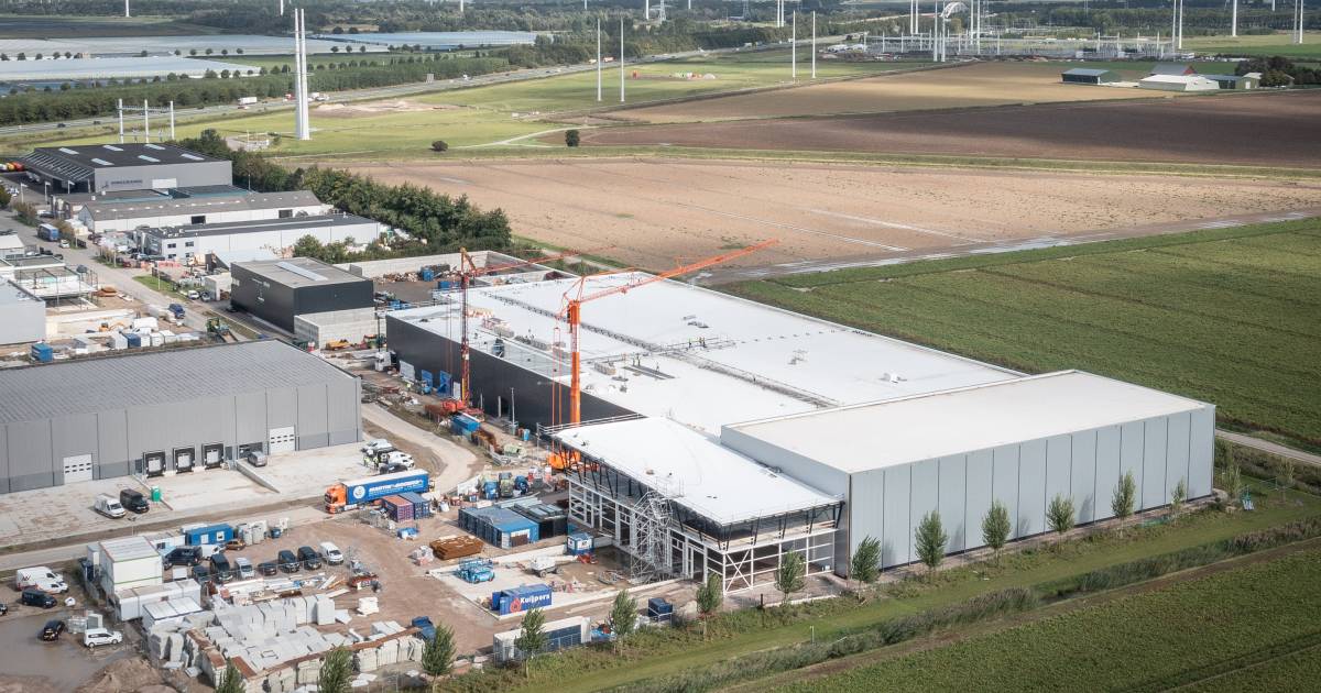 Frietreus McCain neemt Reimerswaalse producent van groentesnacks over ...