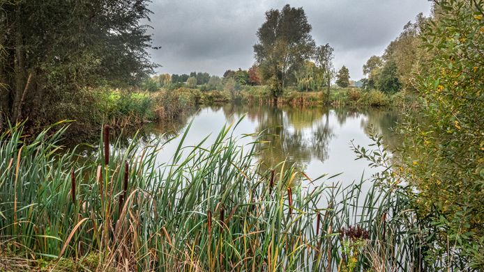 Ontwerp voor opwaardering visvijvers in Desselgem goedgekeurd, werken starten volgend voorjaar ...