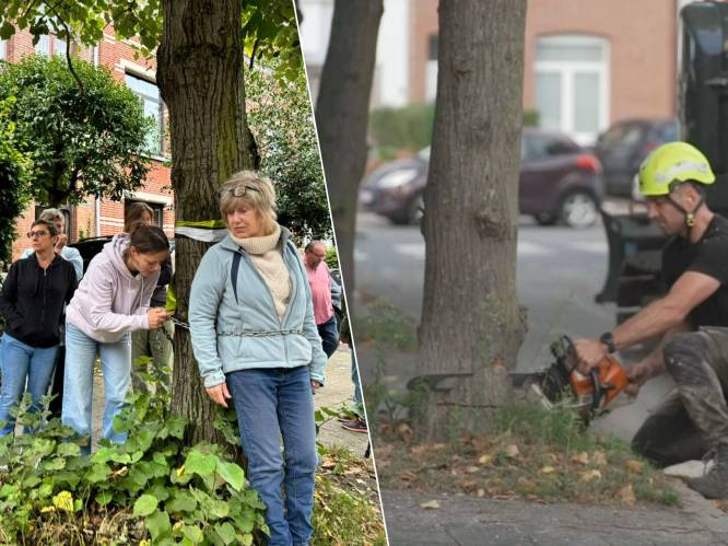 HLN - Het Laatste Nieuws - Volg het nieuws op de nr1 nieuwssite in ...