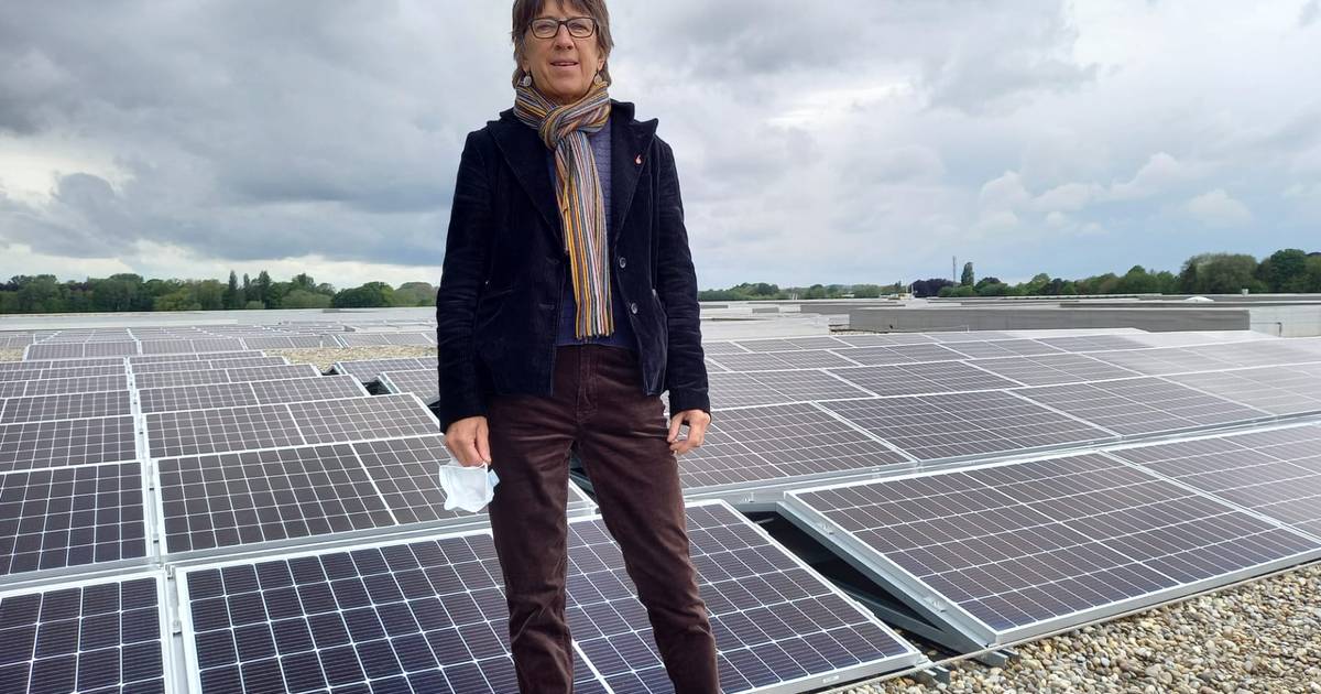 Groepsaankoop Oost Vlaanderen Voor Zonnepanelen En Thuisbatterij Wegens