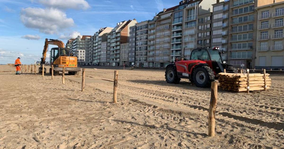 Proefproject met nieuw duingebied van 5.400 m² moet kust van Knokke ...