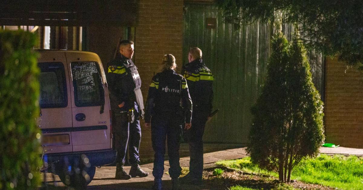 Ouders zetten zoon het huis uit na gewelddadige woningoverval op bejaarde vrouw (84): ‘Schaam je ...