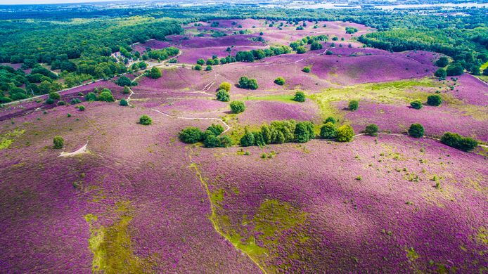 Plan voor betaald parkeren op de Posbank | Rheden | gelderlander.nl