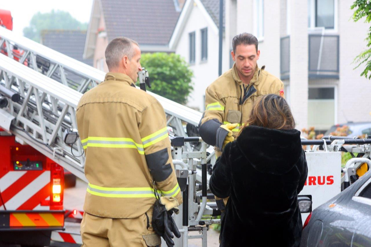 Kater Bob blijft keurig zitten tot brandweer hem redt van woningdak in ...