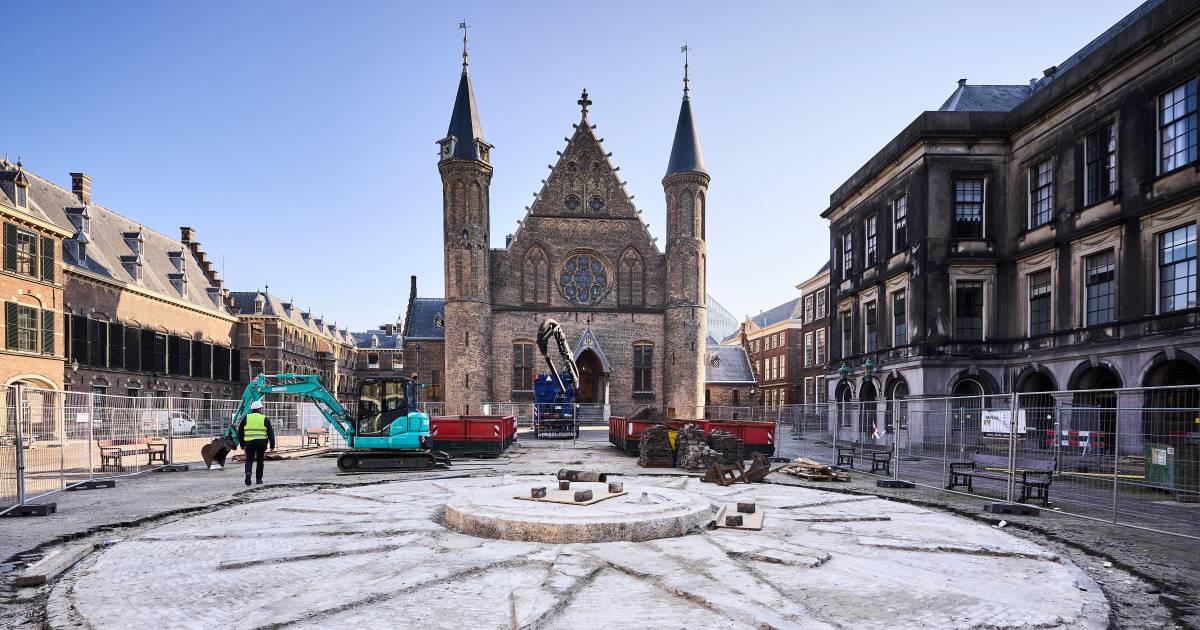 Milieuorganisatie van Vollenbroek wil verbouwing Binnenhof stilleggen omdat er geen ...