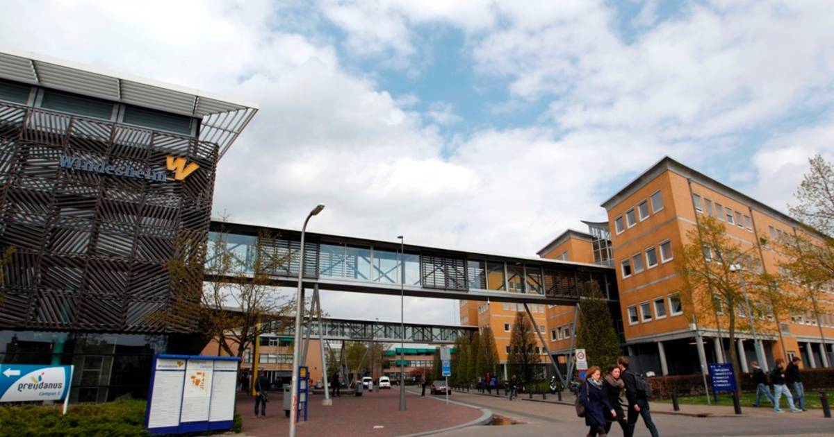 Hogeschool Windesheim biedt gepeste student helpende hand | Zwolle | destentor.nl