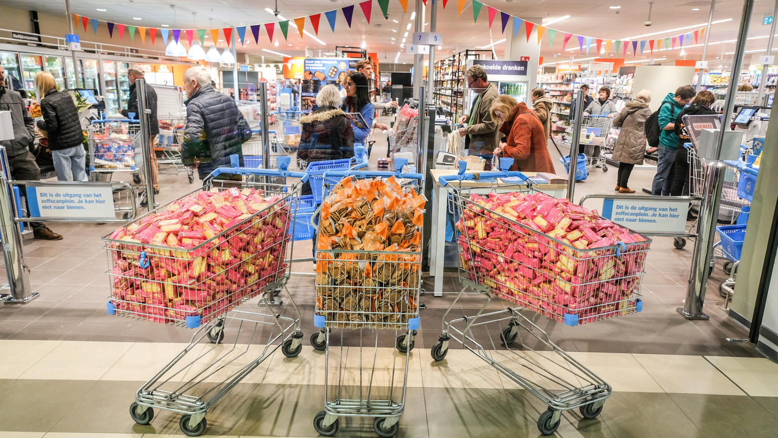 IN BEELD. Vernieuwde Albert Heijn in Ring Kortrijk feestelijk heropend | Foto | hln.be