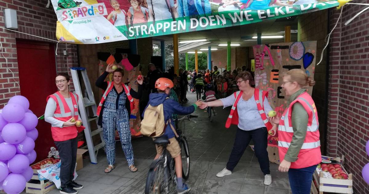 Strapdag kent succes in Immac | Tienen | hln.be