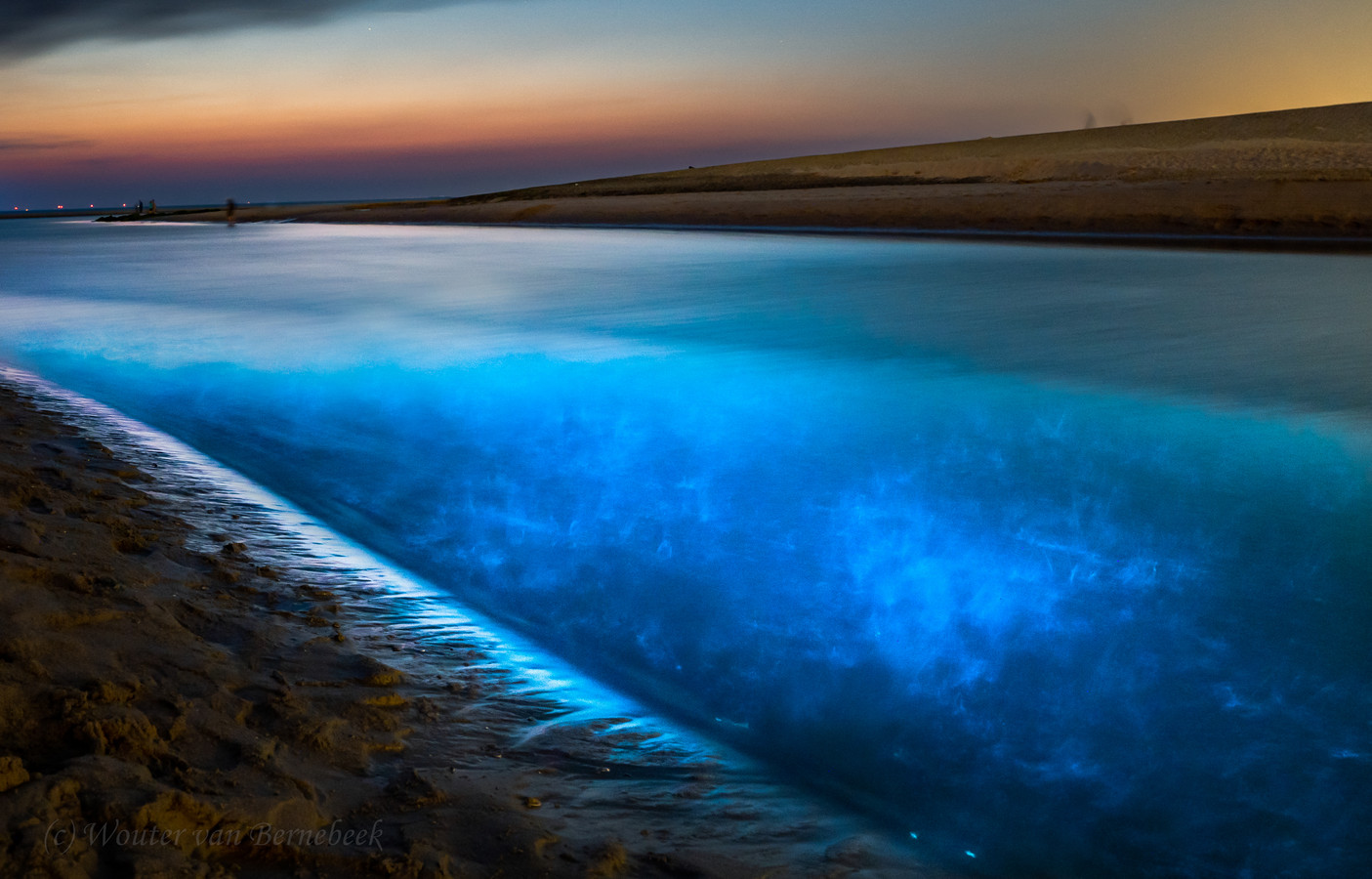 Bijzonder fenomeen: zeevonk aan de kust, onder de rookwolken van de brand in Ter Aar | Foto | ed.nl